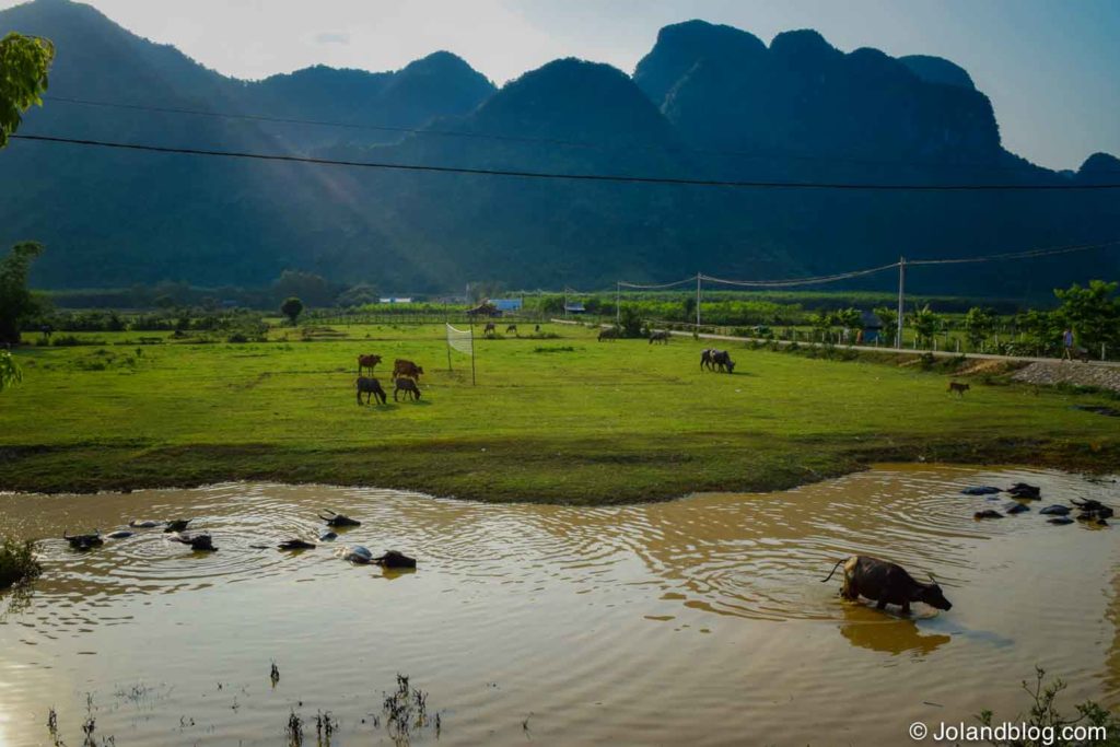 Phong Nha, Vietname | Guia e Dicas de Viagem - Joland | Blog de Viagens Phong Nha, Vietname | Guia e Dicas de Viagem - Joland | Blog de Viagens
